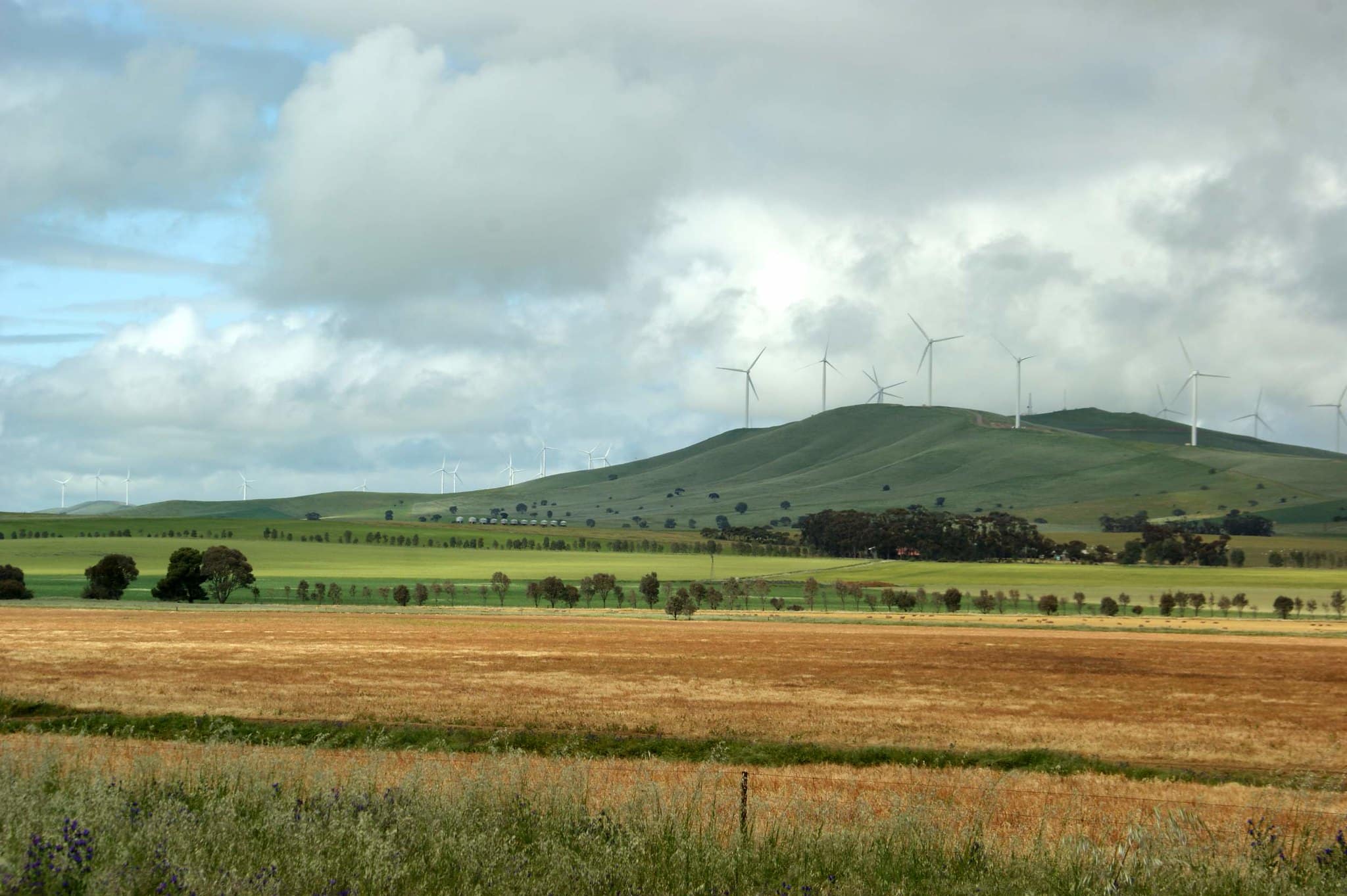 Twin Hills Wind Farm - News - Twin Hills